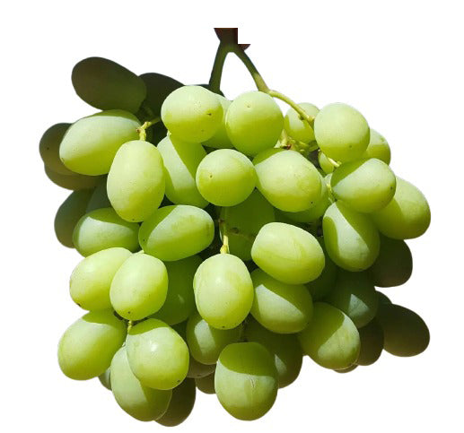 GRAPES GREEN (IMPORTED) – World Essentials LLP